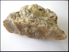 Rocas Sedimentarias
